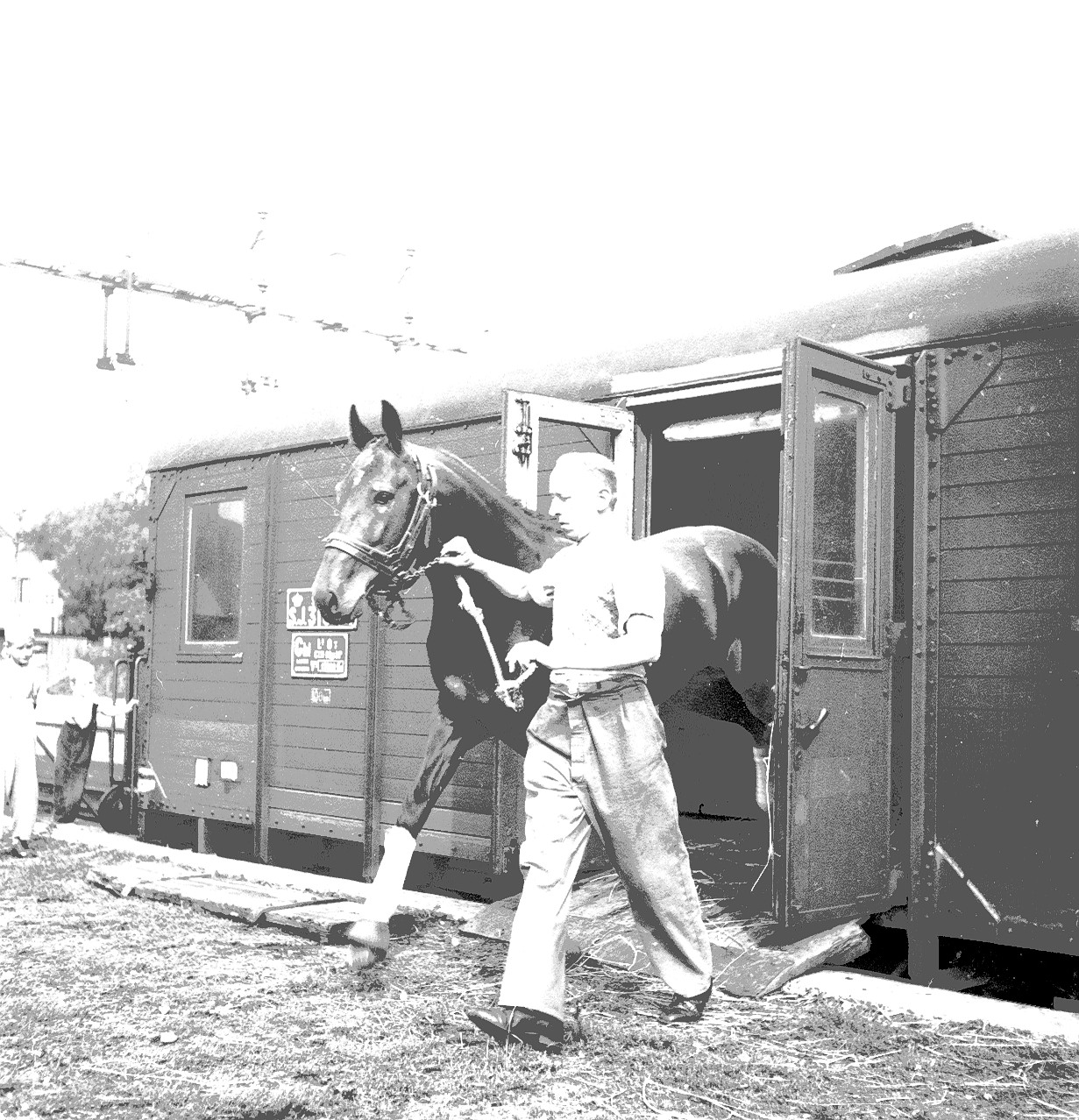 Hästar med tågbiljett - Nordiska Travmuseet